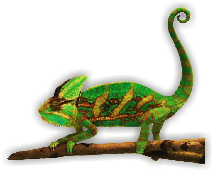 Veebikonverents: Fabry tõbi – kameeleon haruldaste haiguste seas ...