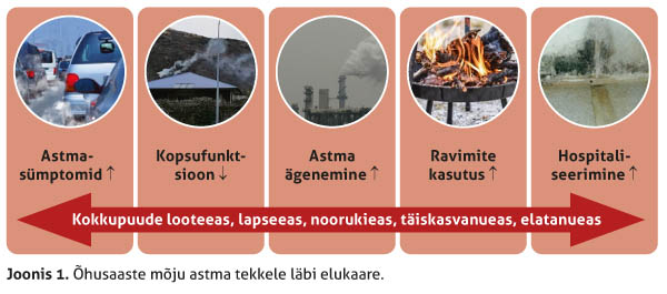 Õhusaaste ja astma | Med24