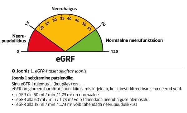 Kui neerud on natuke laisad ehk kuidas seletada patsiendile ...